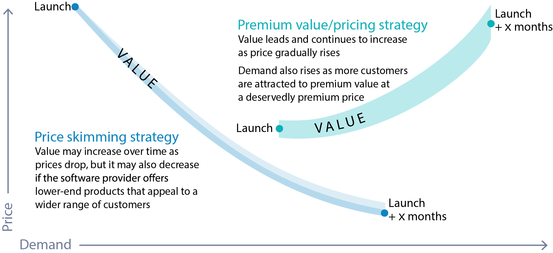 Is premium pricing a good strategy for B2B software?